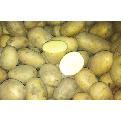 Patata Agria 1 Kg. Patatas de siembra - Hortinatura.com - Tu huerto en casa