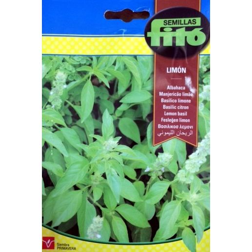 Albahaca Limón Semillas - Hortinatura.com - Tu huerto en casa